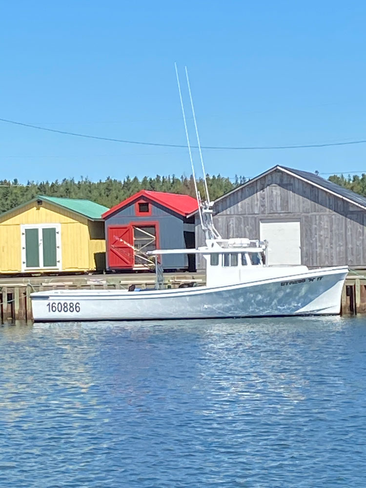 Stress'N'It - Three Rivers Boat Tours